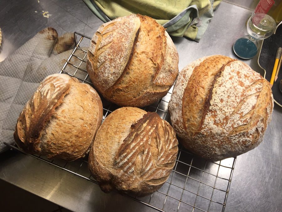 A Rustic Bread for Fornacalia | Fornacalia